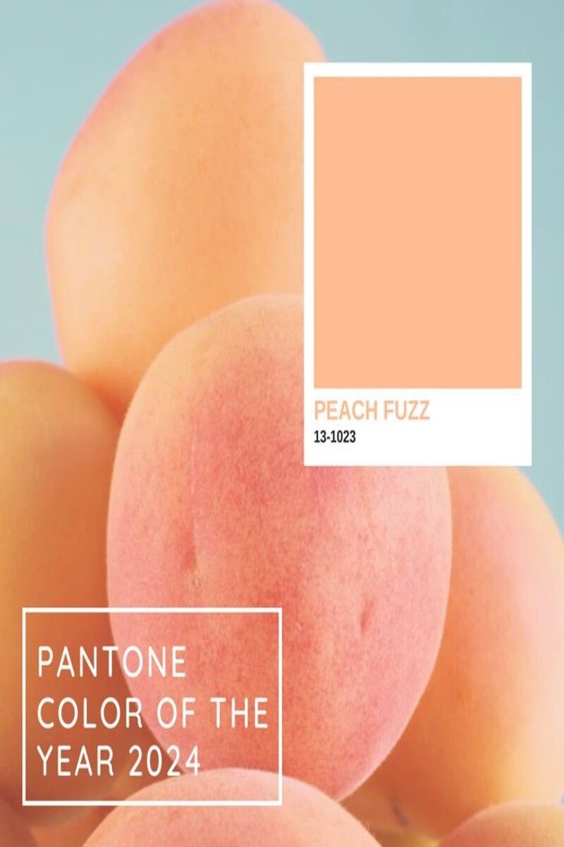 Unveiling Pantone's Color of the Year 2024 as PANTONE 13-1023 Peach ...